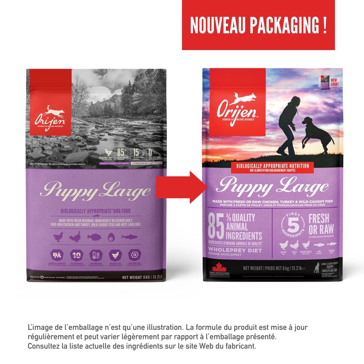 Croquettes Puppy Large Breed